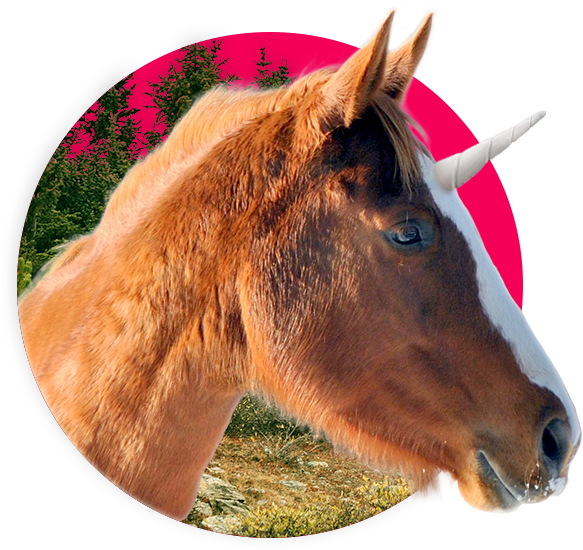 Unicorns - Wild Rydes