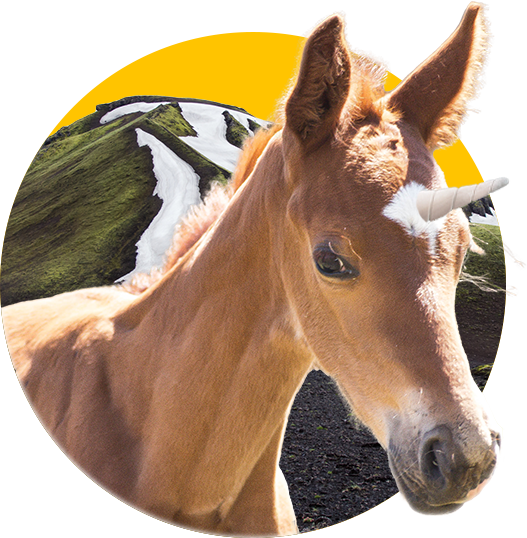 Unicorns - Wild Rydes