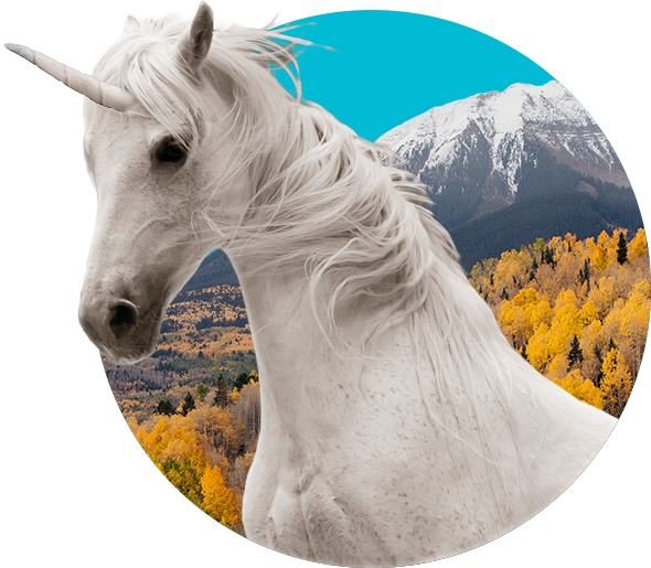 Unicorns - Wild Rydes